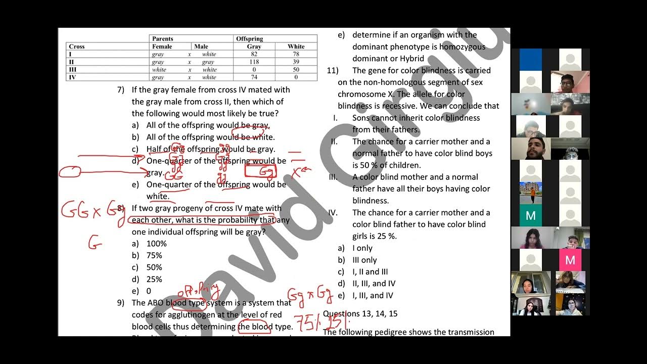 Classical Genetics part 1 DKB (classwork) - YouTube