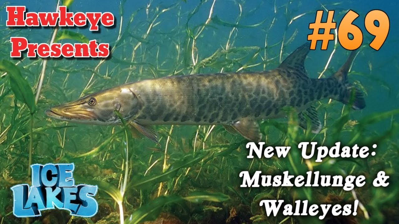 Muskellunge