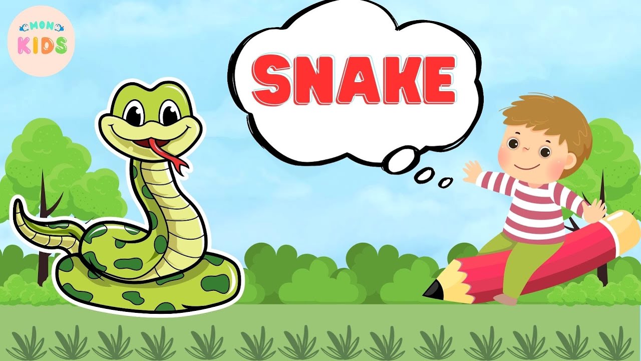 Snake Facts For Kids 🐍 Learn All About Snakes | MON Kids - YouTube