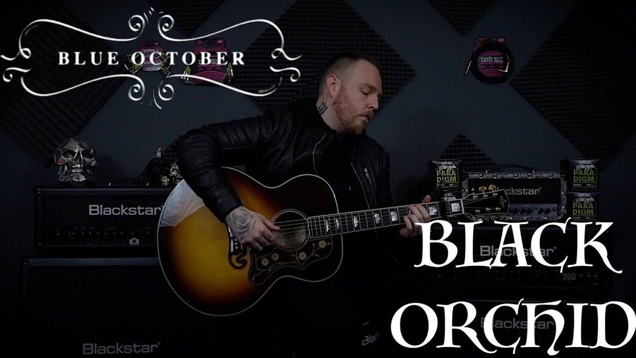 Blue October - Black Orchid (Acoustic Cover) - YouTube