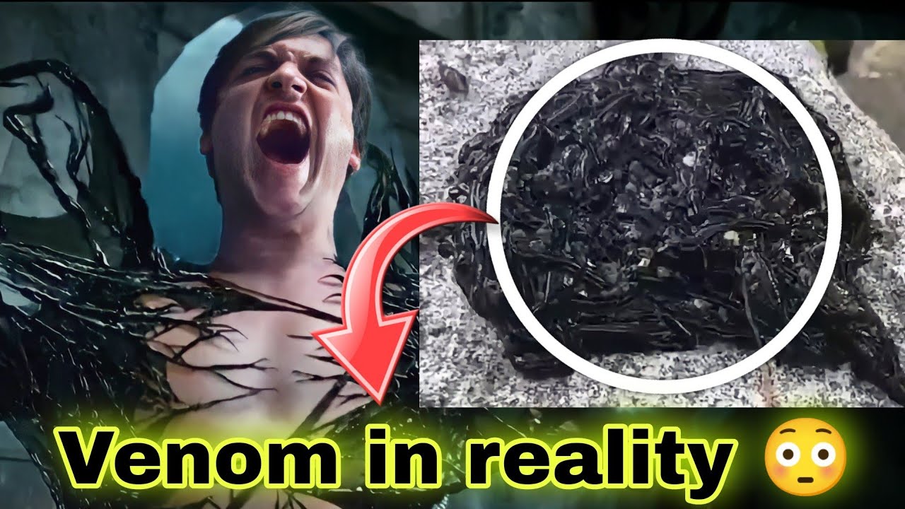 Is Venom real? Venom in reality - YouTube