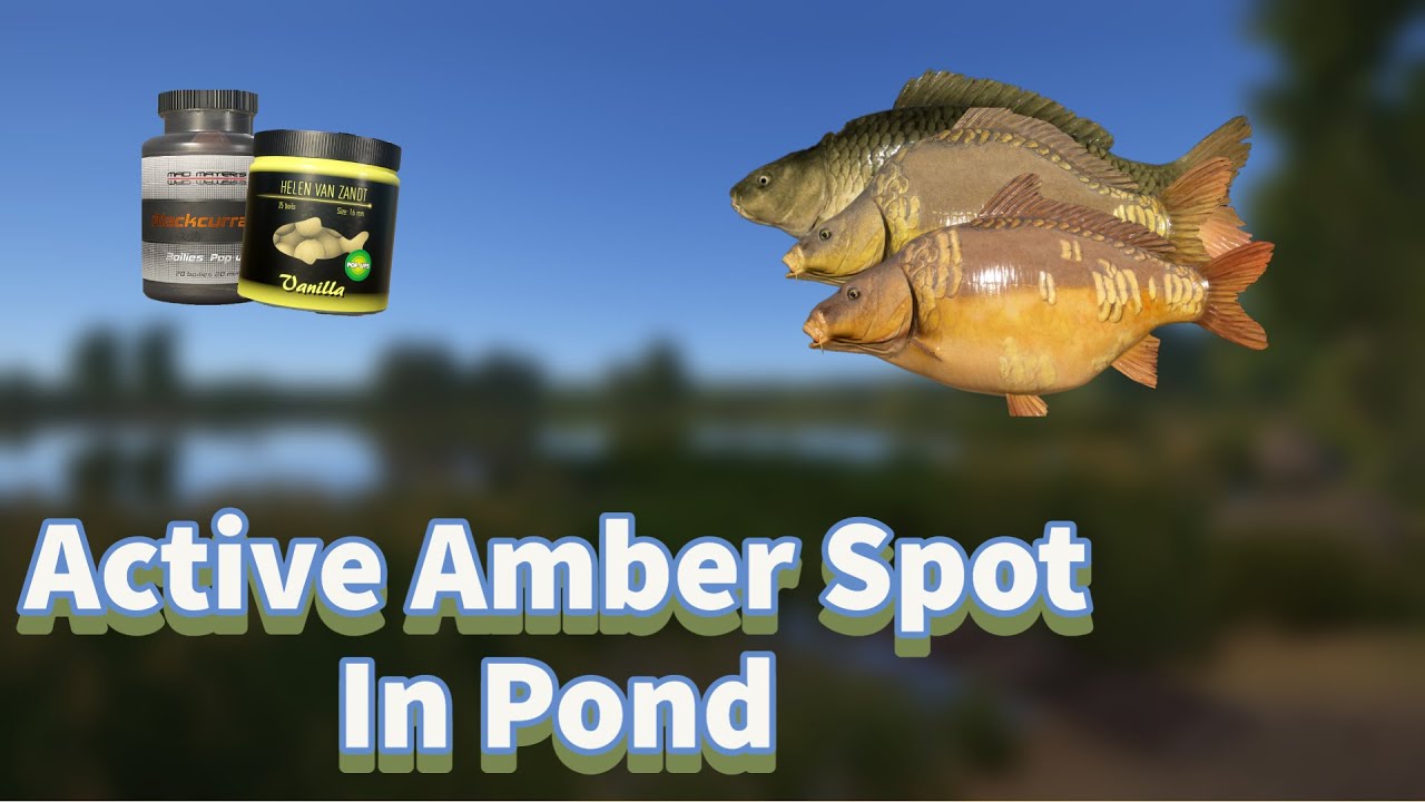 Russian Fishing 4 | Amber Lake Active Spot In Pond - YouTube