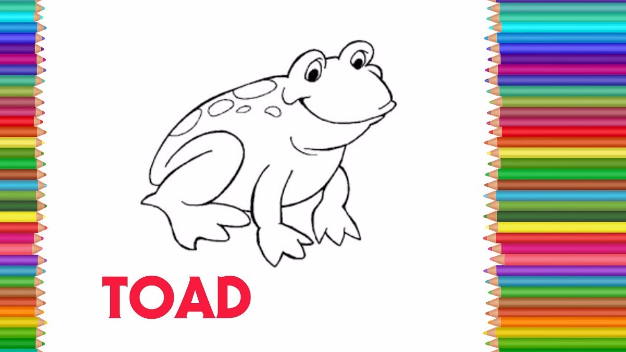 How to draw a toad| For kids | Smart baby - YouTube