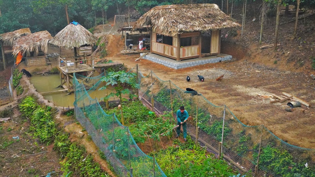 TIMELAPSE: 3 Years of Building a Farm in the Forest, P2( Construction ...