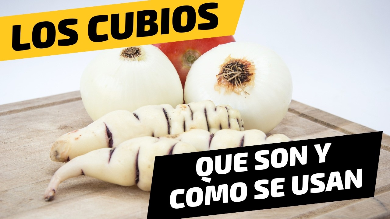 Propiedades de los cubios y como prepararlos en casa - YouTube
