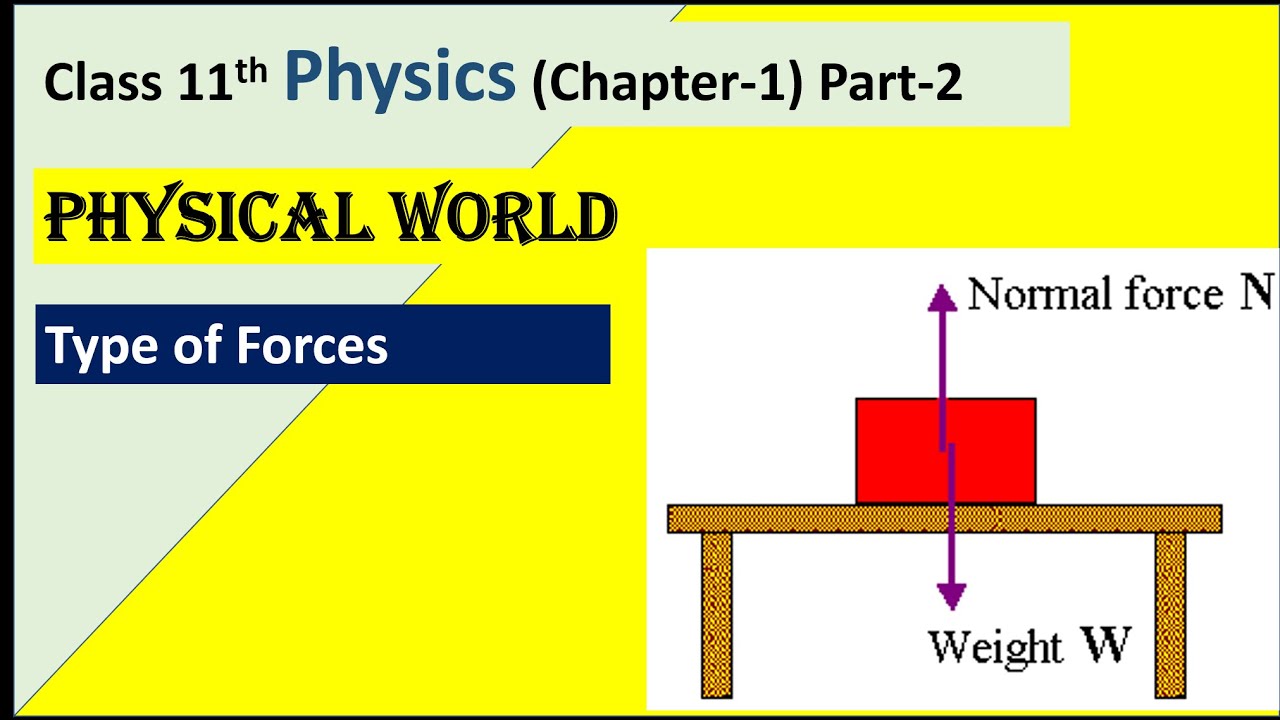 Class 11 Physics chapter 1 || Physical World || What is physics || Type ...