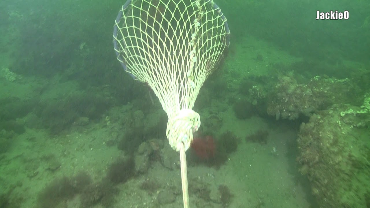 Fuiken in de Grevelingen - YouTube