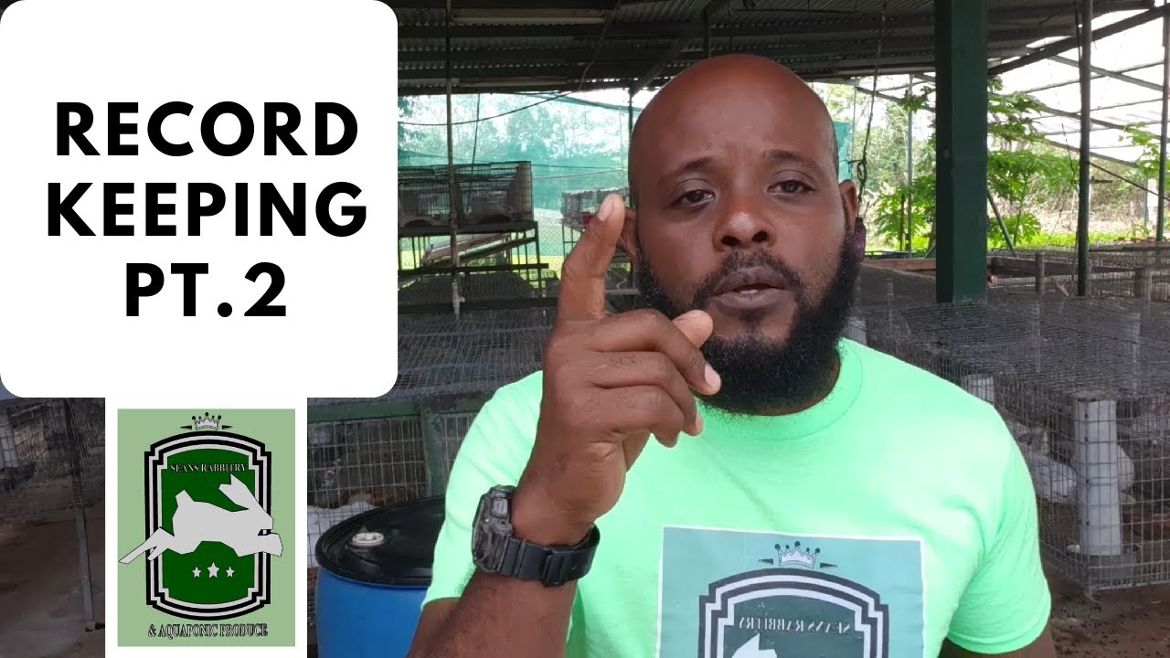 Trinidad Rabbit Farming - Record Keeping Pt 2 - YouTube