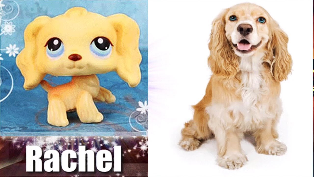 LPS Popular REAL LIFE All Characters 2018 - YouTube