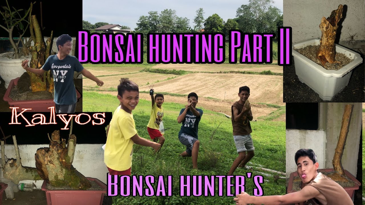 Bonsai hunting Part ll ft. Kids Hunters - YouTube