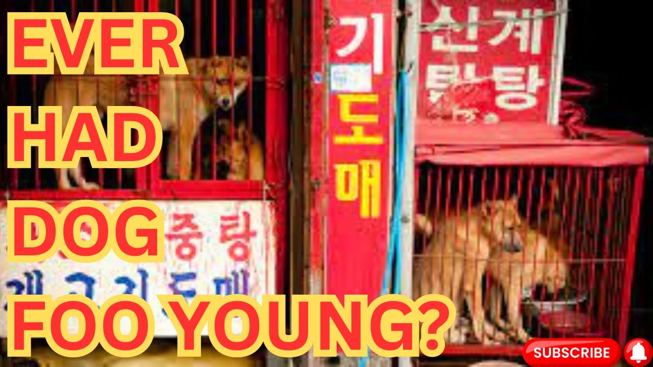 South Korean Farmers Threaten to Release 2 Million Dogs in Protest of ...
