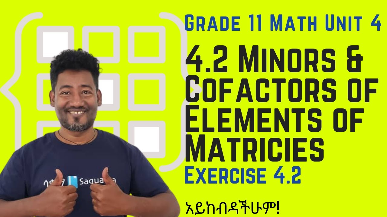 Grade 11 Maths Unit 4:4.2 Minors and Cofactors of Elements of Matrices ...