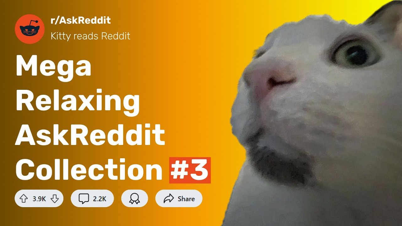 The Best AskReddit Stories Compilation for a Relaxing Night №3 👀 | r ...