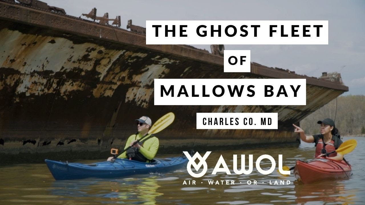 Kayaking Through the Ghost Fleet of Mallows Bay, Charles Co. MD | AWOL ...