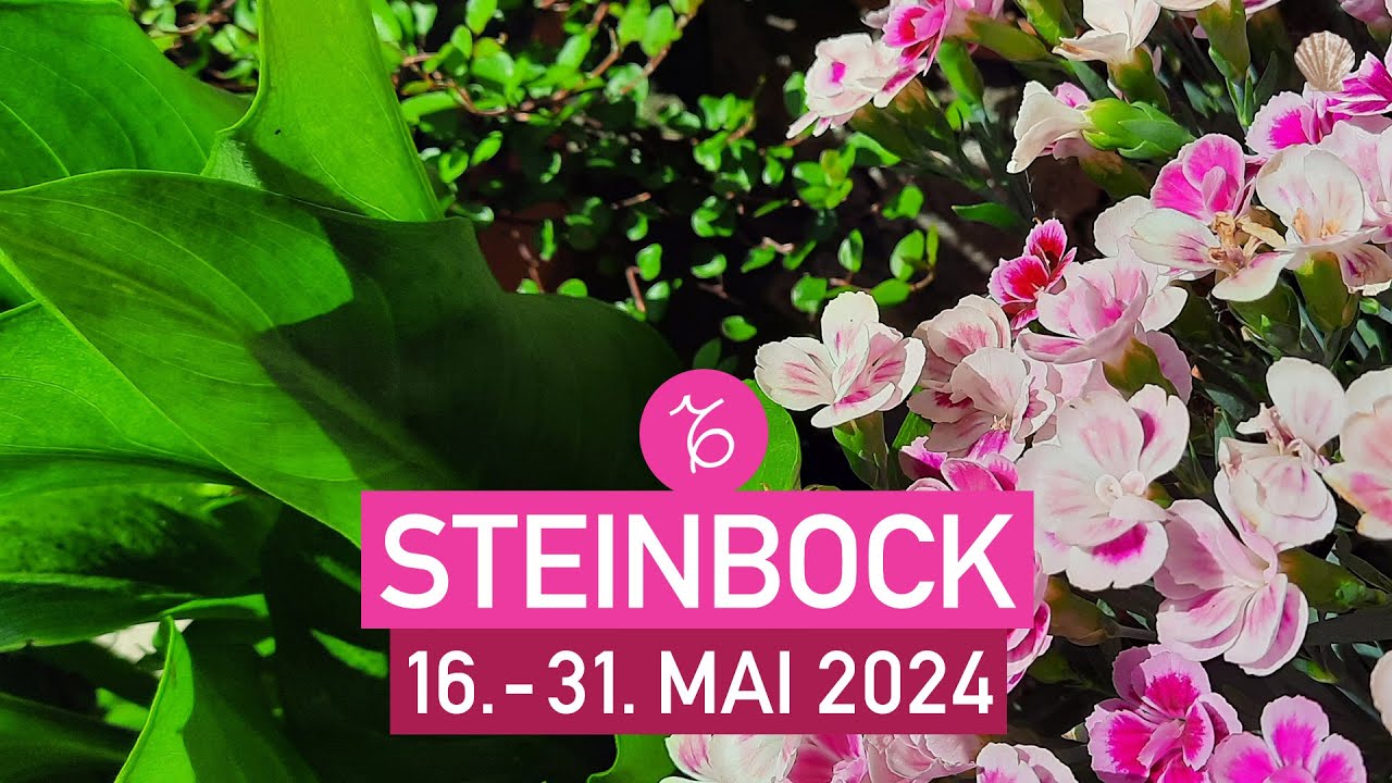 STEINBOCK ♑️ "UNENDLICHE FÜLLE, ENDLICH ERFOLG!" - 16. - 31. MAI 2024 TAROTLEGUNG - 2 ...