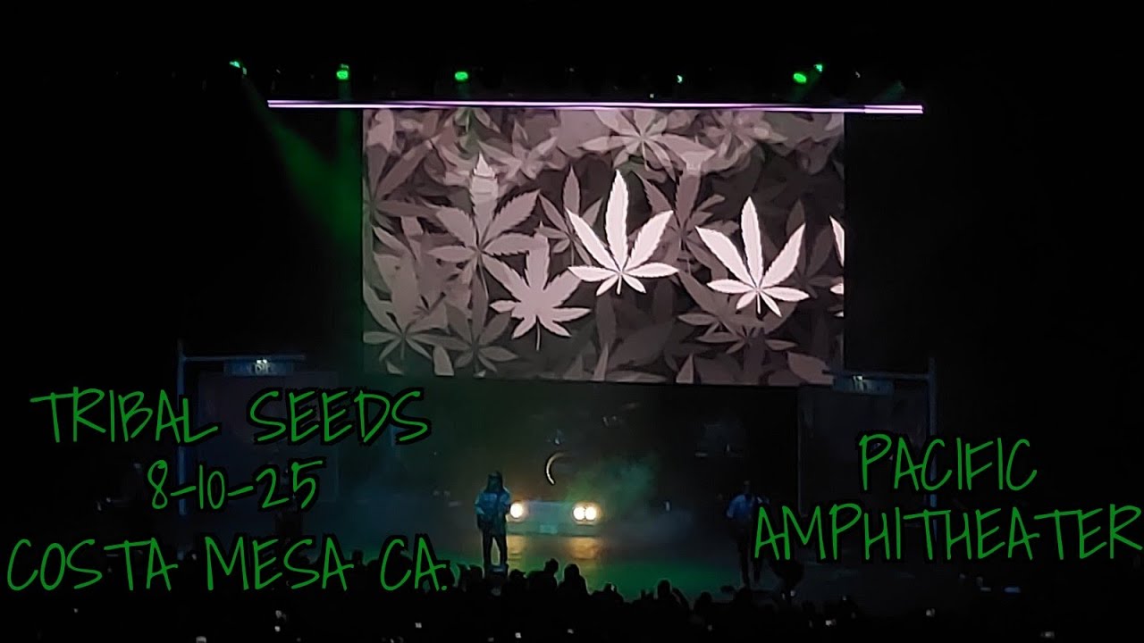 Tribal Seeds 8/10/25 Costa Mesa CA. Pacific Amphitheater - YouTube