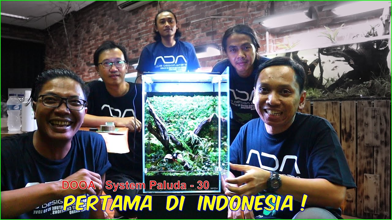 Setting Paludarium/Terrarium 30cm | DOOA System Paluda-30 | Bersama ...
