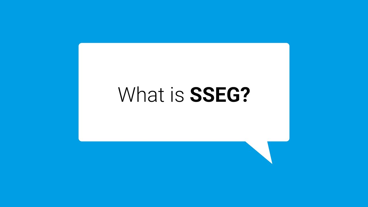 What is SSEG? - YouTube