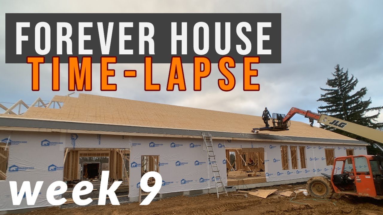 We get a roof and windows! | Week 9 | Home Build Time-Lapse - YouTube