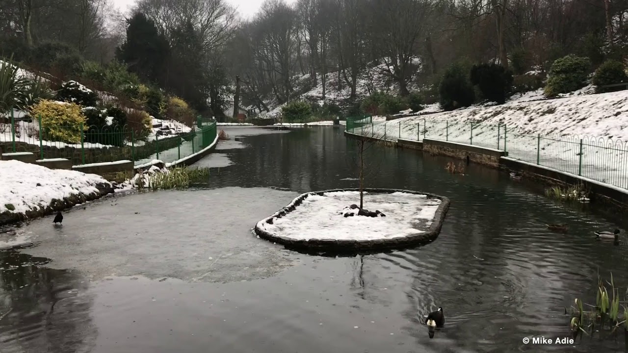 A Walk Through Northumberland Park, North Shields. - YouTube
