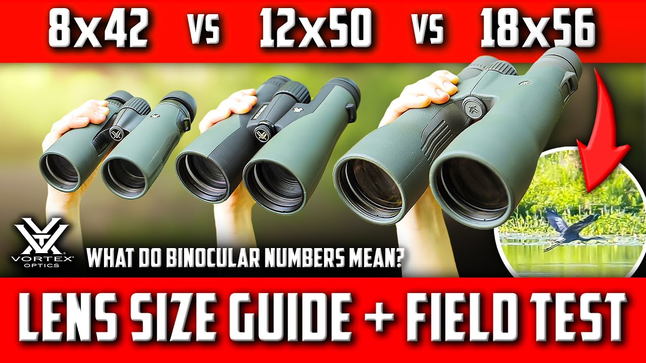 How To Choose Binoculars: What Size is Best for Your Activities? Vortex ...