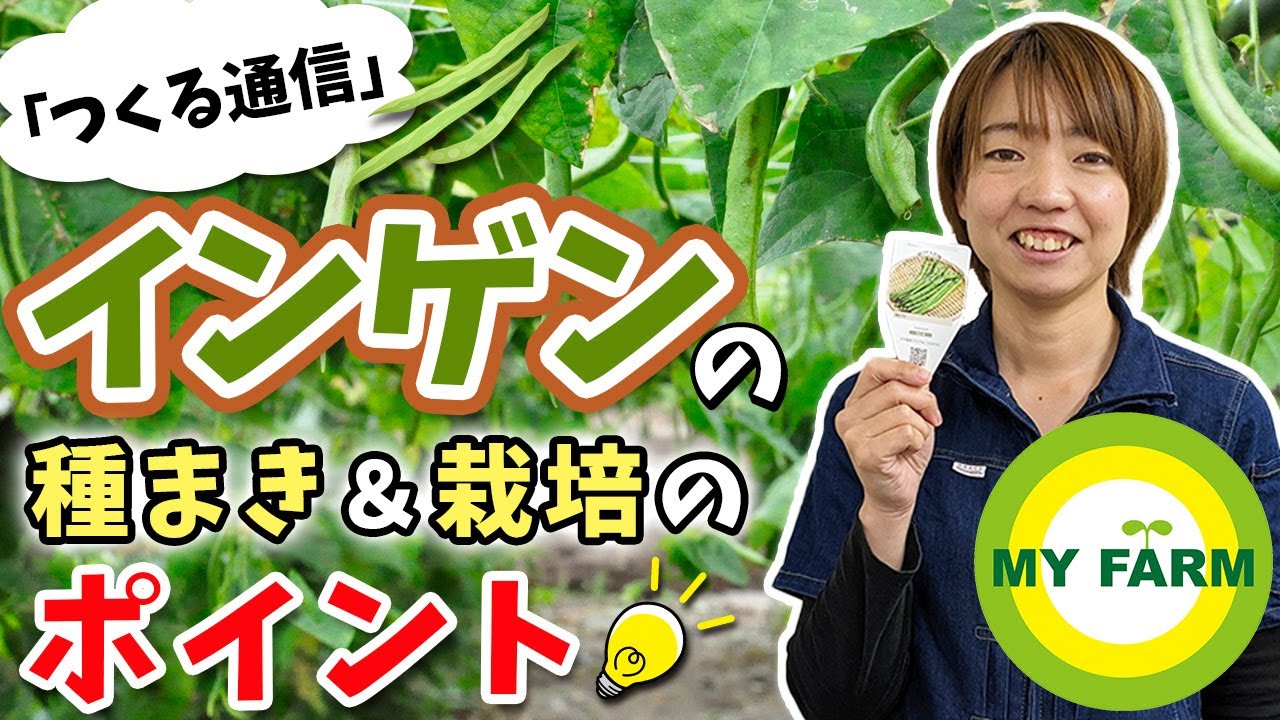 株式会社マイファーム