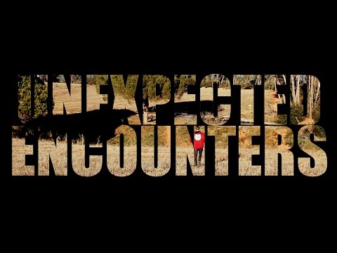 Unexpected Encounters - Short Film