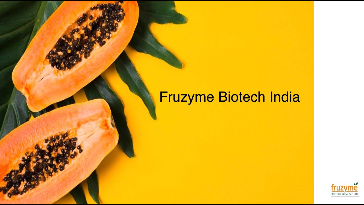 Fruzyme Biotech India Pvt ltd - YouTube