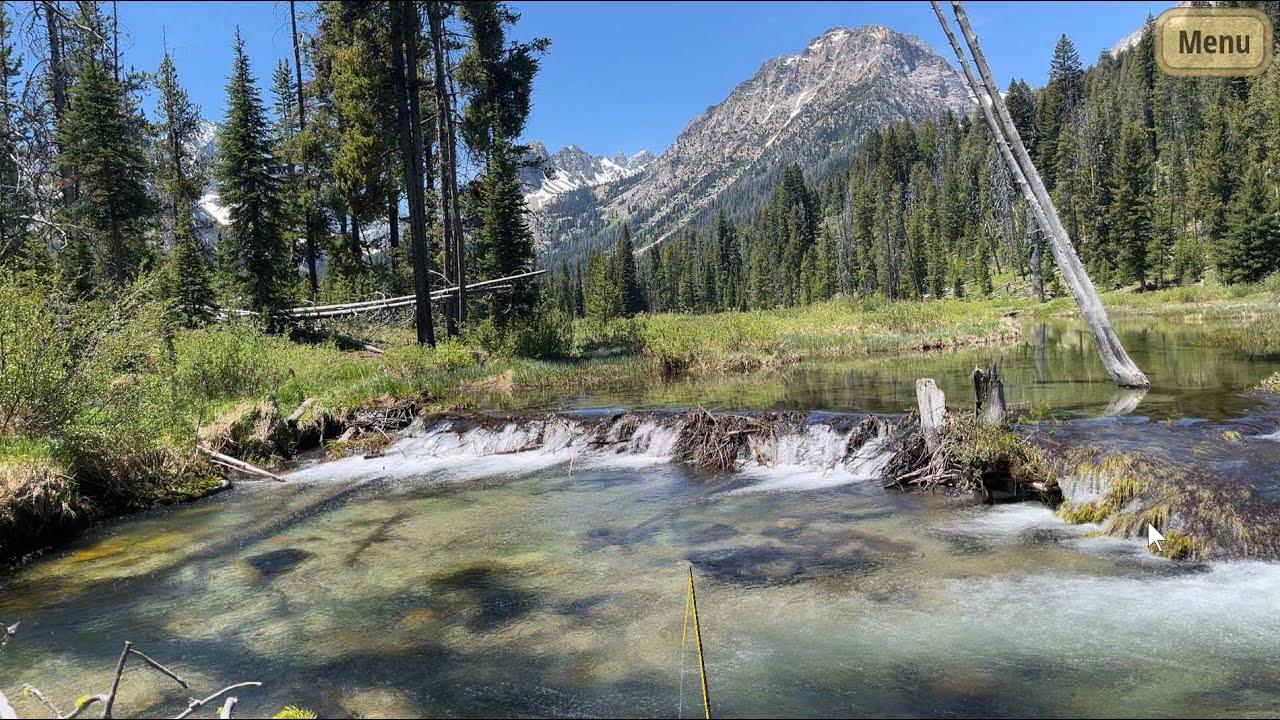 Sampling user created content in Fly Fishing Simulator HD - YouTube