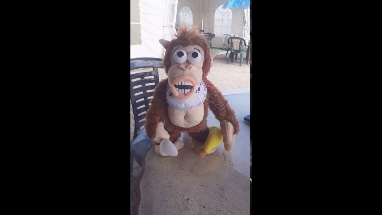 Singe qui pleure quand on lui enlève quoi regarder. Maymun agliyor ...