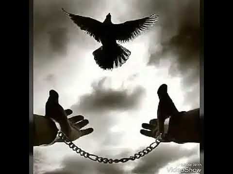 Whatsap ucun video yep yeni 2018