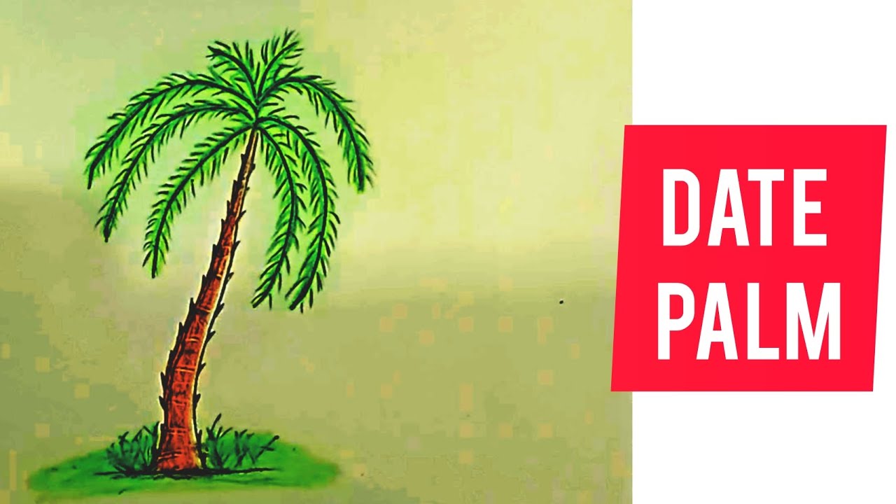 draw date palm || How To Draw A Date Palm Step By Step - YouTube