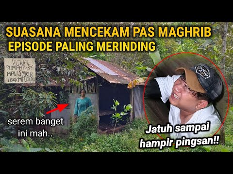 TERSESAT DI HUTAN ANGKER!! BERTAHAN HIDUP SELAMA 100 HARI GAK NYANGKA ADA WANITA PEMBERANI DI HUTAN