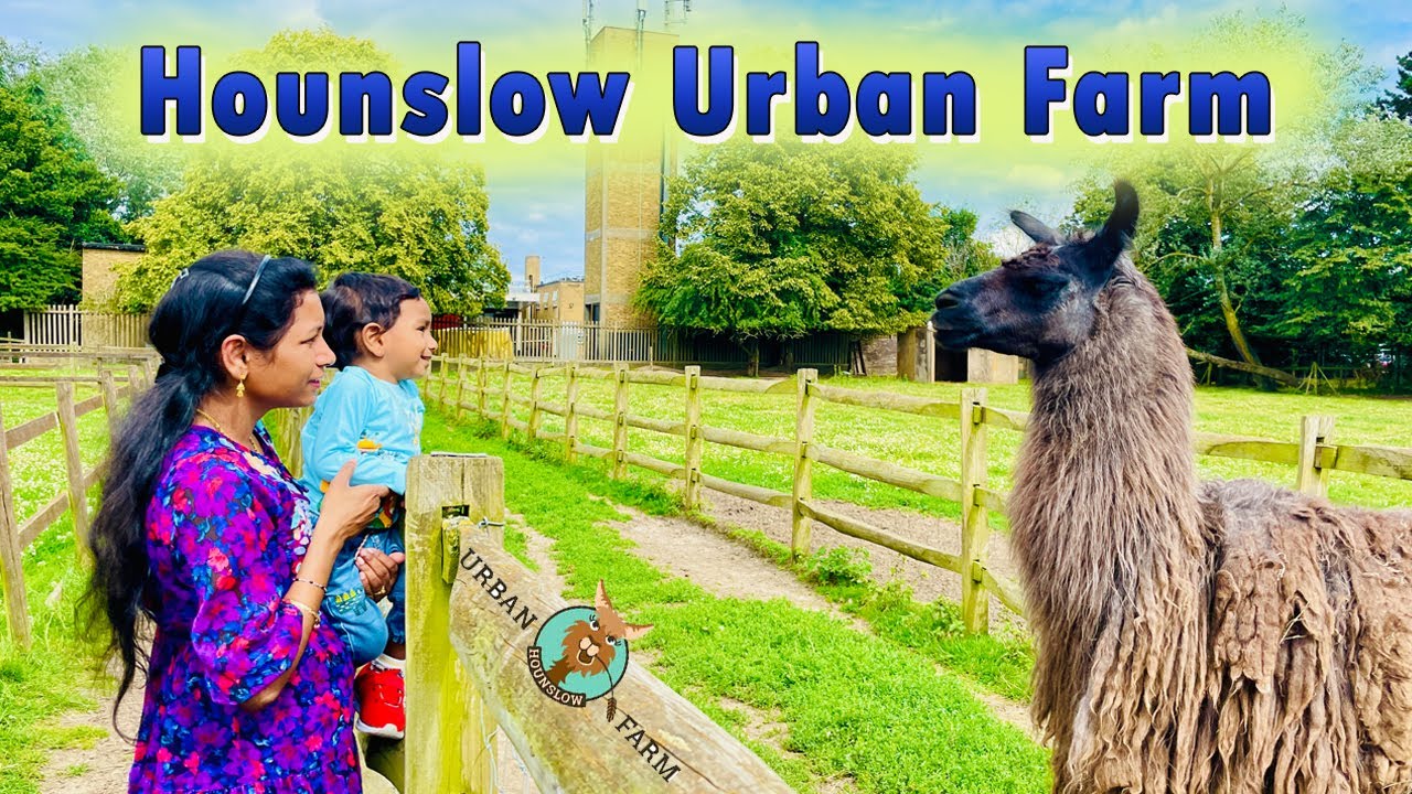 Hounslow Urban Farm || Hounslow || London - YouTube