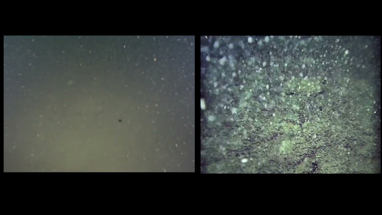 [Dam] I2S Orphie camera - YouTube