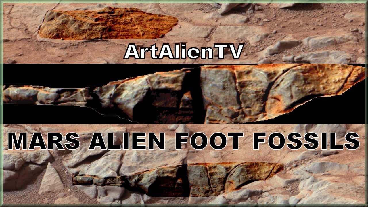 Mars Alien Foot & Leg Bone Fossils: Curiosity Anomalies. ArtAlienTV ...