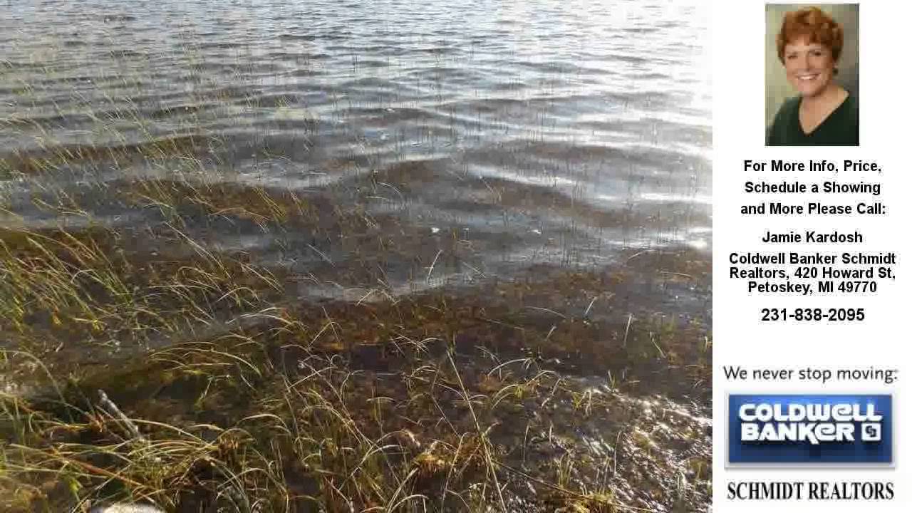 9200 Lake Shore Dr, Carp Lake, MI Presented by Jamie Kardosh. - YouTube