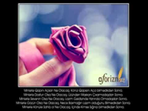 seni sevmeyi sevirem