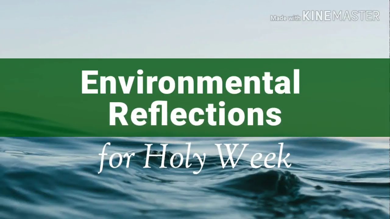 Environmental Reflection with Rev Andrew Manning - YouTube