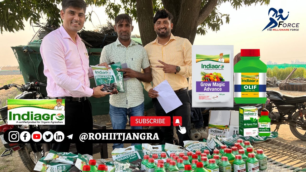 Indiagro Products | Strawberry Result | For Association : 9729400190 ...