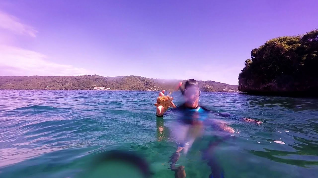 Snorkel in Samana 2016 - YouTube