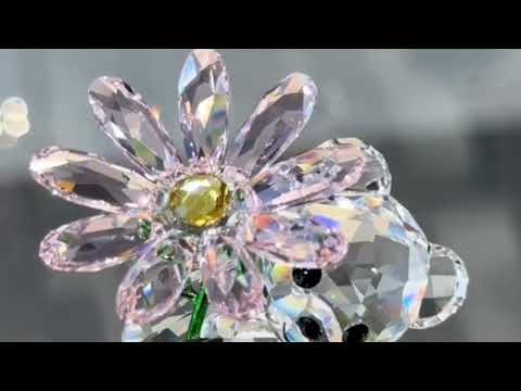 Swarovski Kris Bear A Daisy for You Crystal Figurine Value