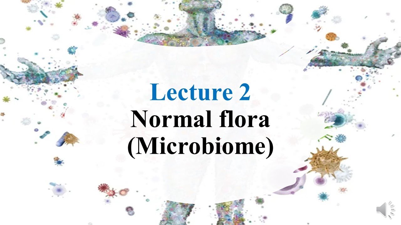 Lecture 2 Normal flora (Microbiome) - YouTube