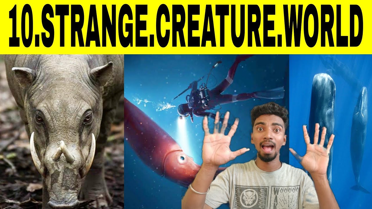 10.UNBELIEVEABLE.STRANGE.CREATURE.WORLD | SHATHAN PRIYAN | - YouTube