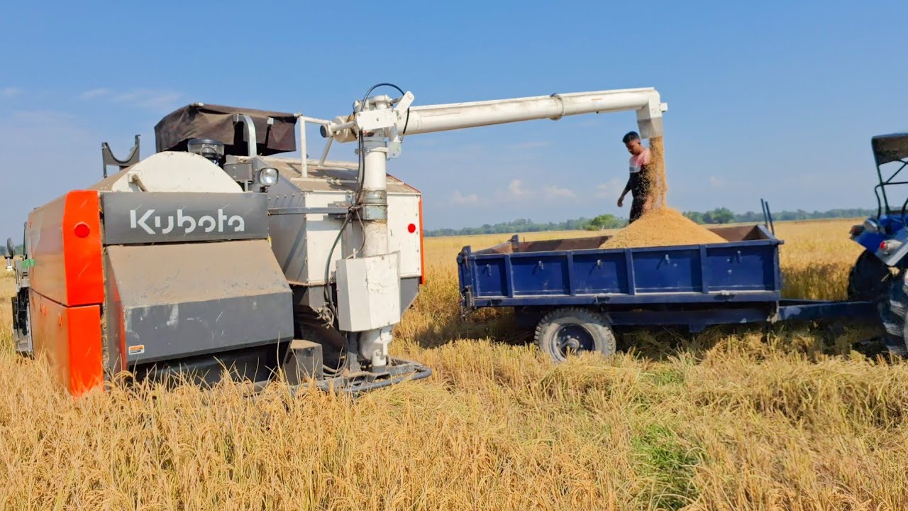 King Pro 68G Kubota Harvester Machine | Harvester Kubota King Pro ...