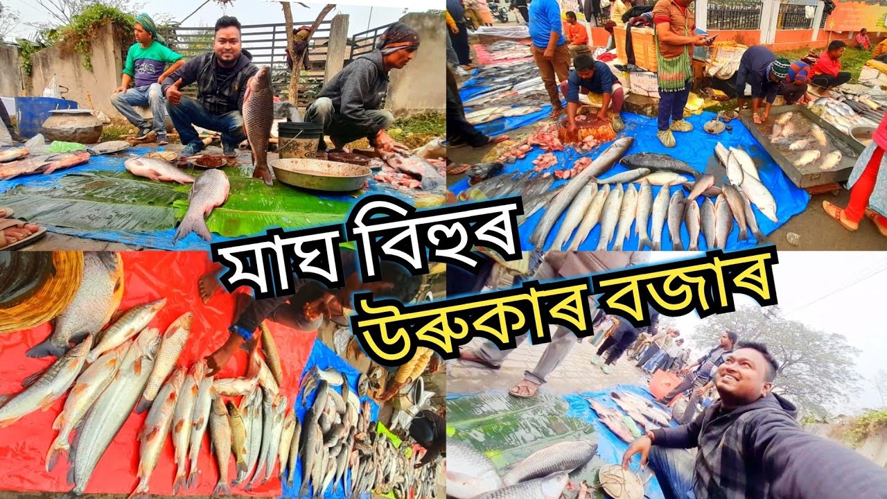 magh bihu uruka ️/ bhogali bihu 2023 / assamese youtuber / fish market ...