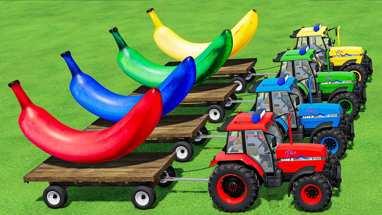 TRANSPORT OF COLORS ! GIANT COLORED BANANA TRANSPORT WITH CASE POLICE ...