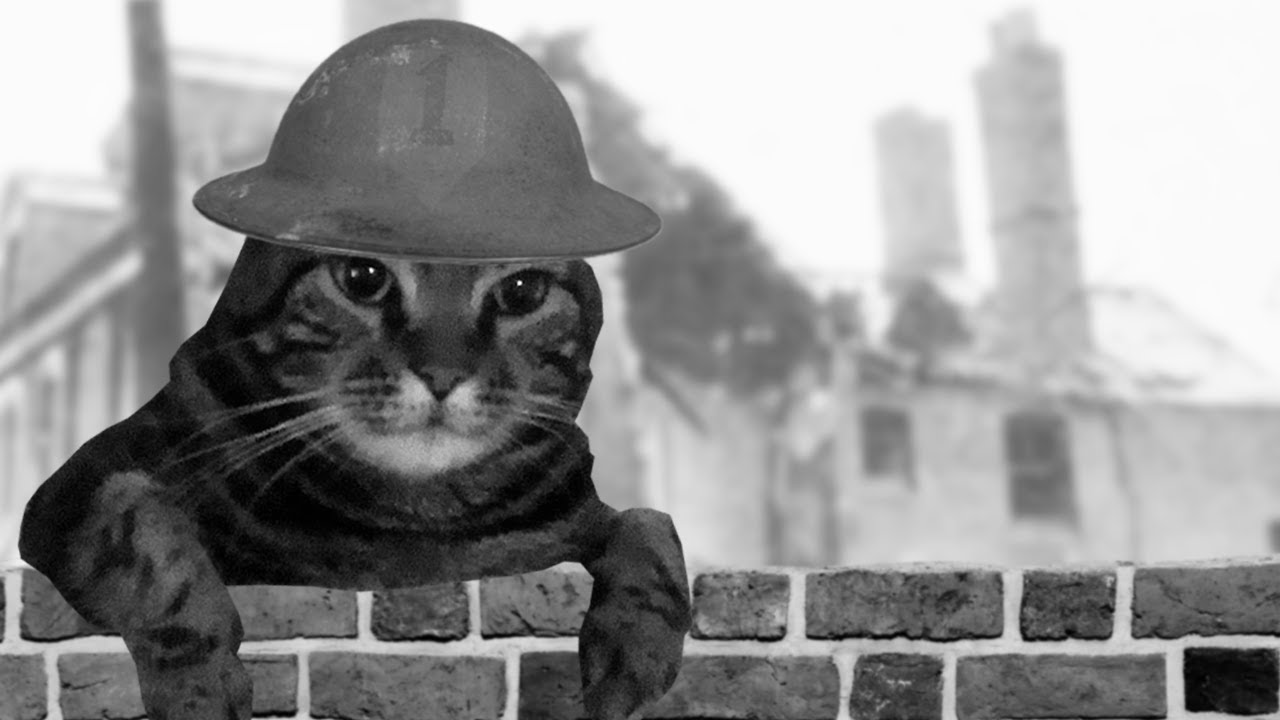 CATS vs GERMANS... (Verdun Beta) - YouTube