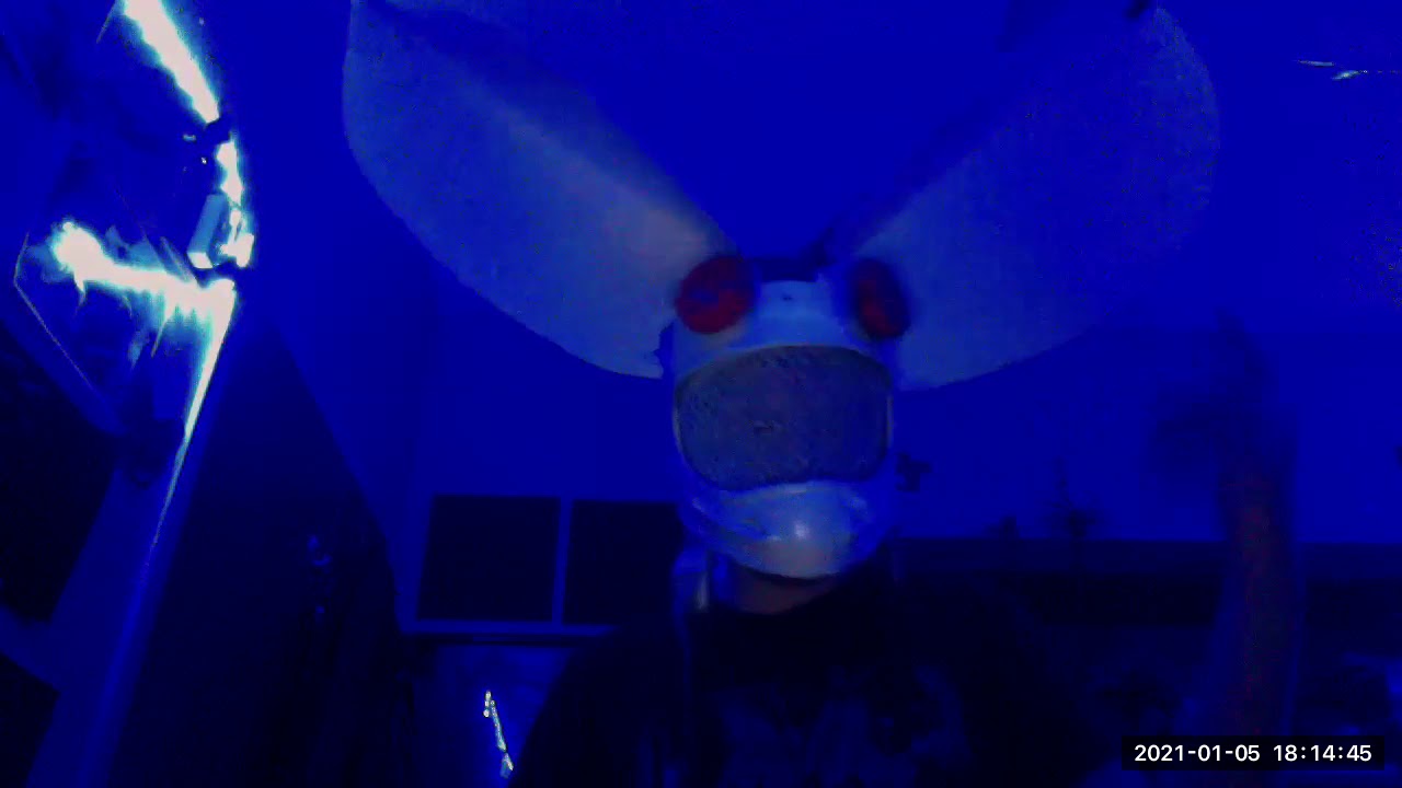 dj techno rat 15 - YouTube