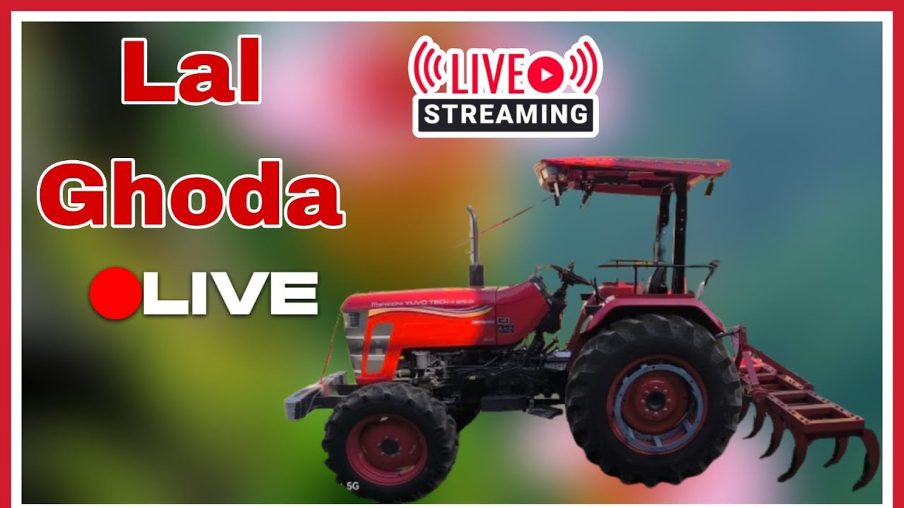 Lal Ghoda is live - YouTube